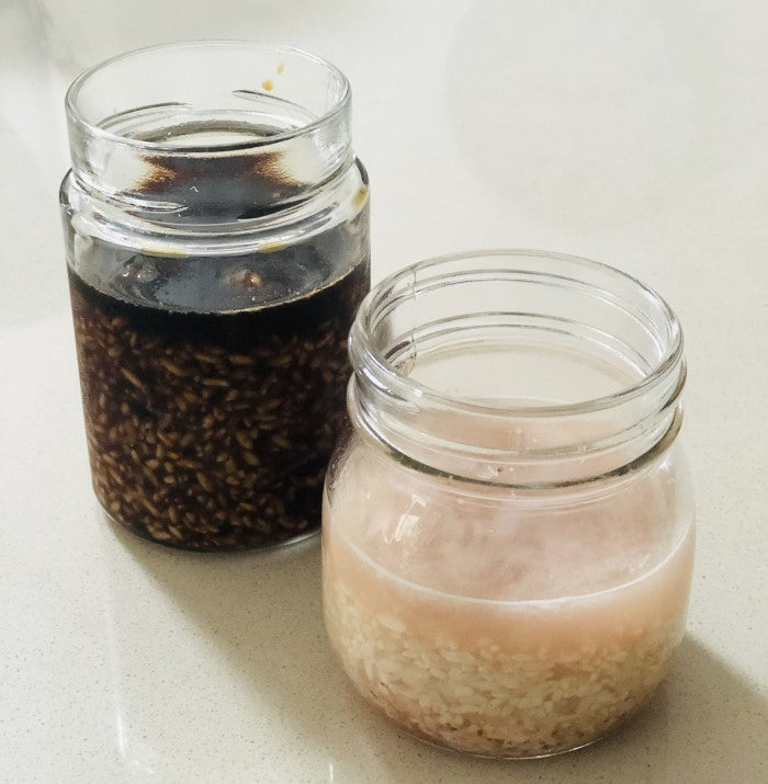 Easy recipe guide to preparing shio koji and shouyu Koji at home