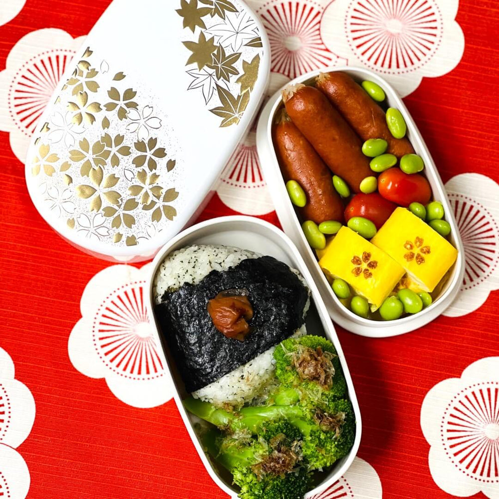Japanese bento box shop | Stylish & traditional lunch boxes